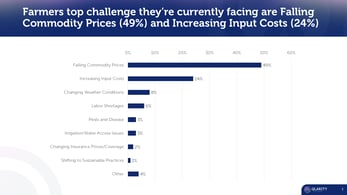 The Right Report for Market Research: Crosstabs & Topline Reports
