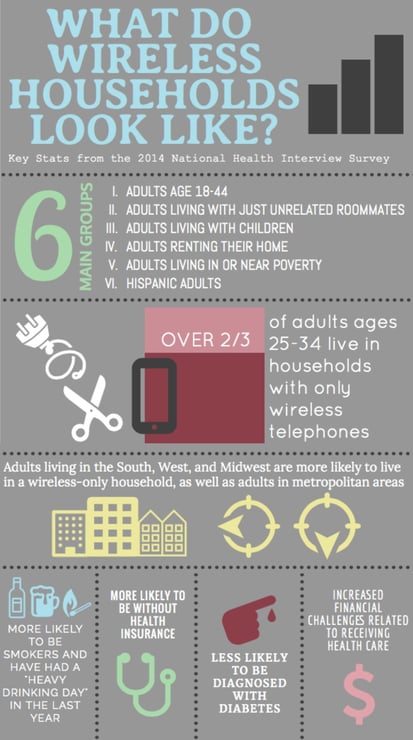 What Do Wireless Households Look Like?